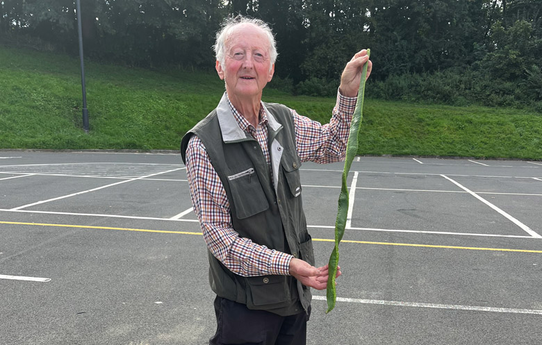 Longest runner bean | Guinness World Records